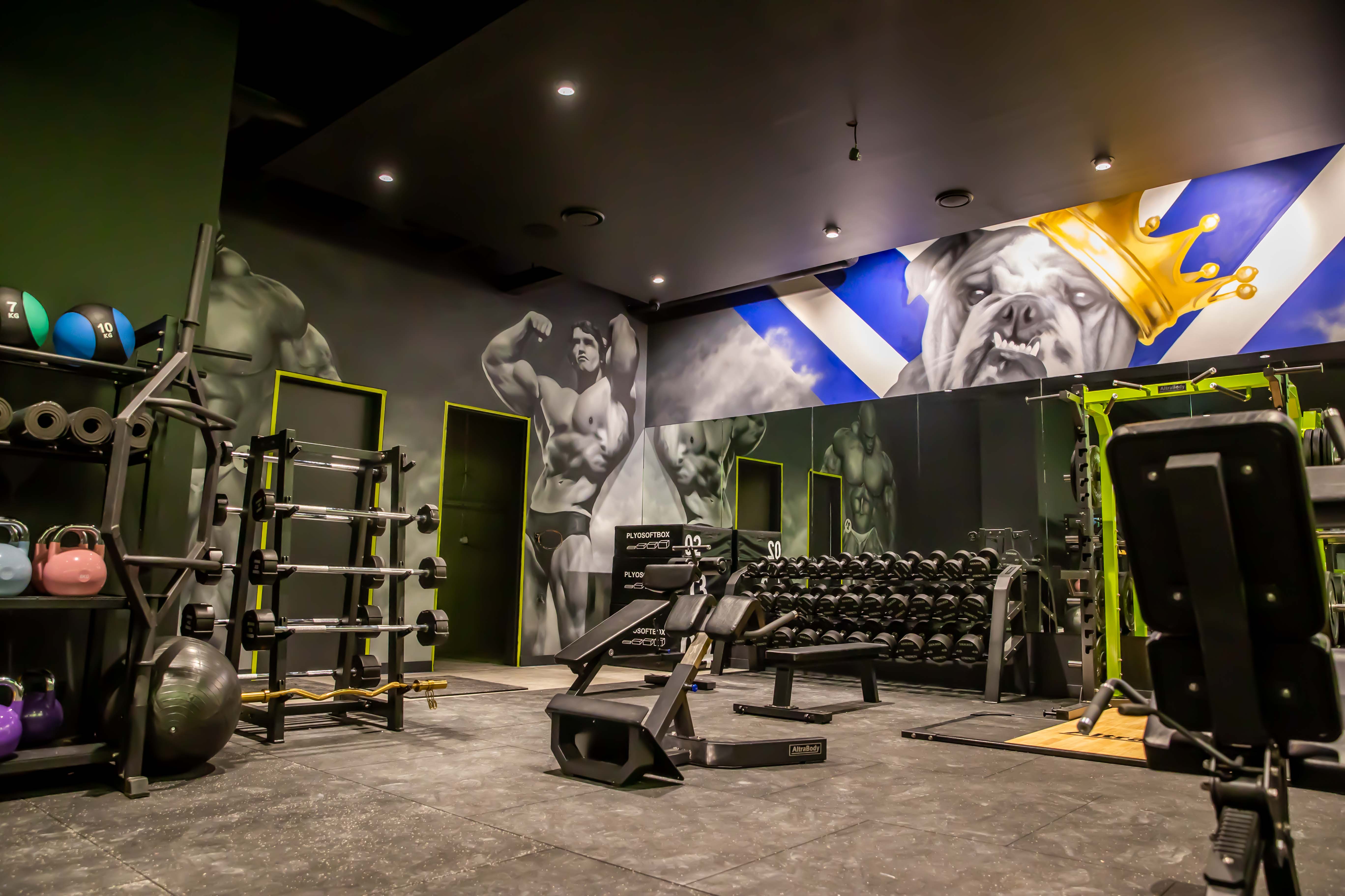 Elevate Your Gym Experience with Professional Commercial Gym Fitouts ...