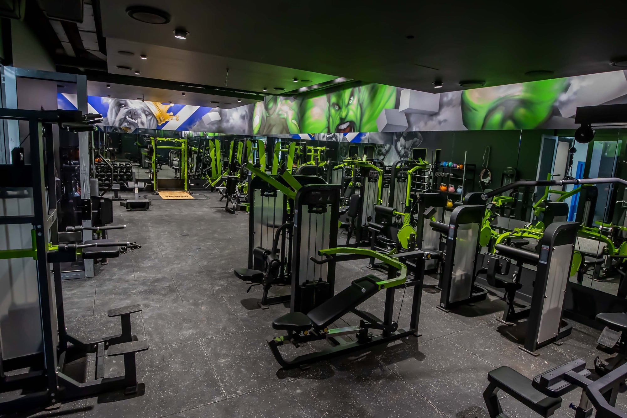 Commercial Custom Gym Equipment | Get Yours Now!